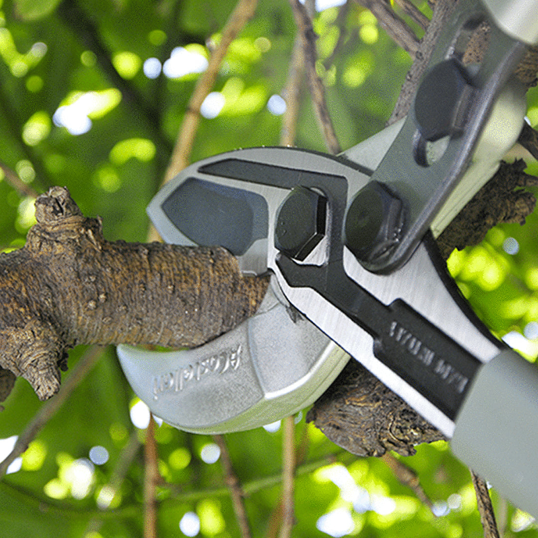 Silky Store NZ – Silex - Tools For Life