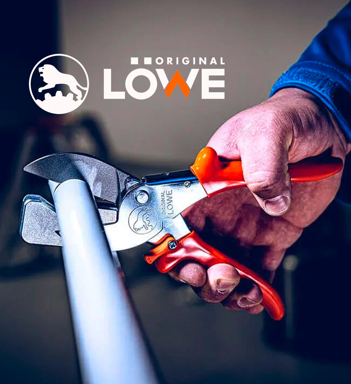 Lowe – Silky Store