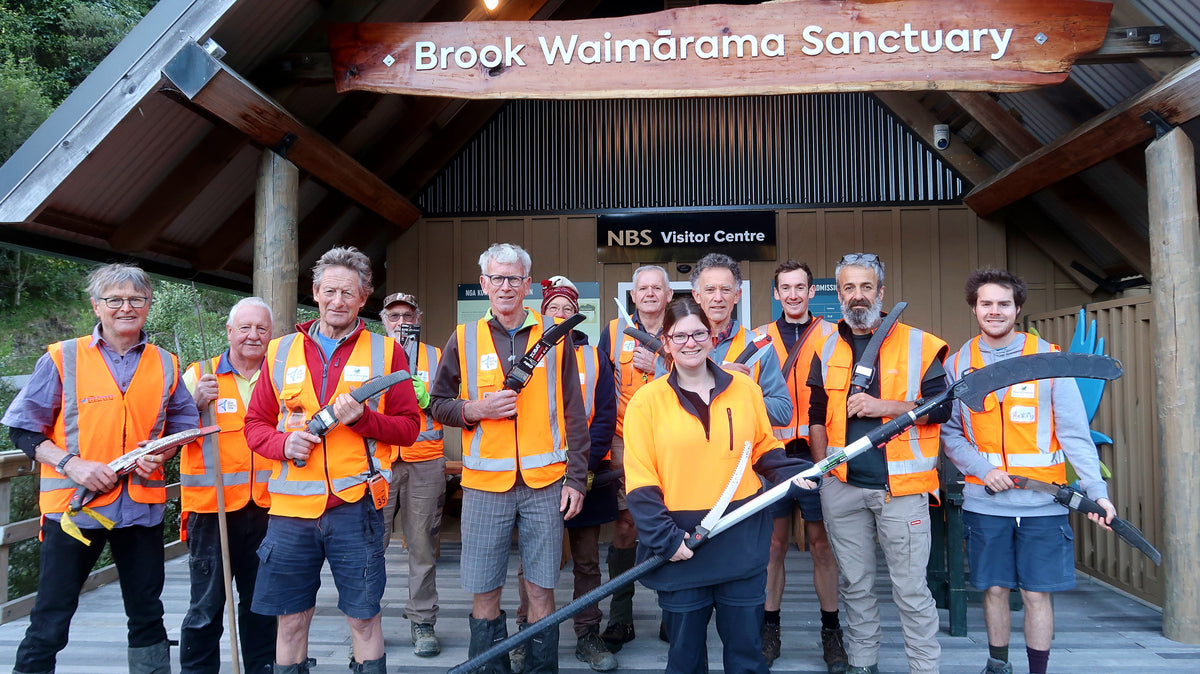 Silky Store NZ – Silex - Tools For Life